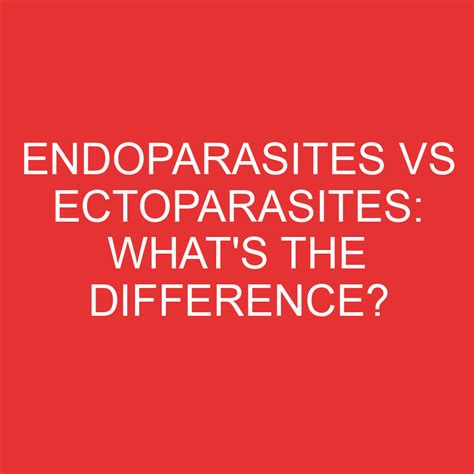 Endoparasites Vs Ectoparasites Whats The Difference Differencess