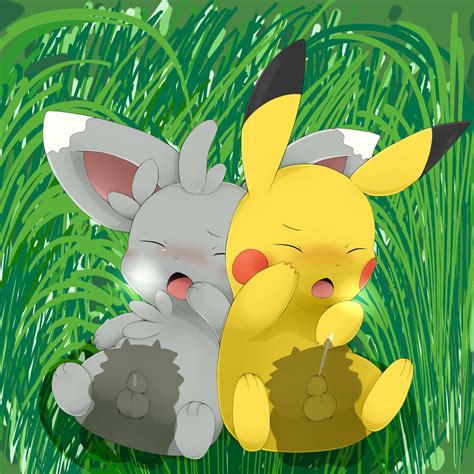 Post 779867 Minccino Pikachu Porkyman Schnecken