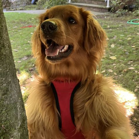 Stream Amazing Grace By Derek Barney Listen Online For Free On Soundcloud