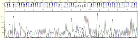 Macrogen Online Sequencing Order System
