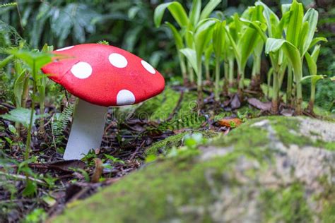 pequenos objetos simulando um cogumelo no meio da natureza imagem de