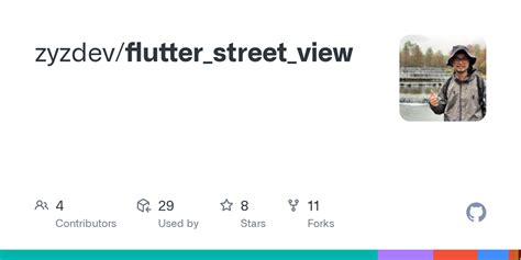 Github Zyzdevflutterstreetview