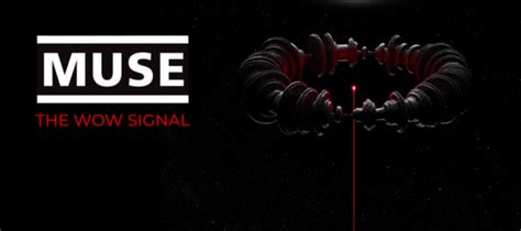 Huge Selection Of Music And Movies