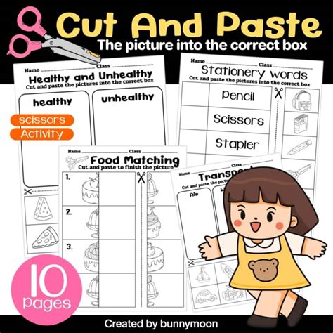 Sorting Objects Into Categories Cut And Paste Activities By Bunnymoon