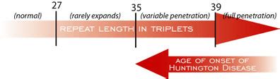 Huntington Disease Overview Of A Genetic Neurodegenerative Disorder