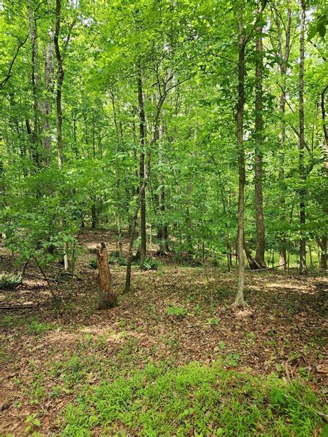 Crowdfunding Esginvesting Thomas Bohlmann 15 Comments