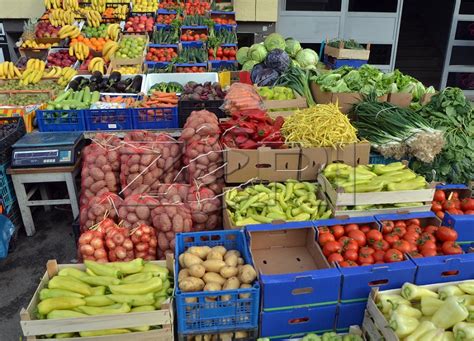 Ngrihen çmimet E Prodhimeve Bujqësore Lajmet E Fundit Zëri