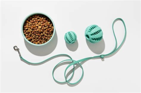 Acessorios Para Gatos Imagens Download Gr Tis No Freepik