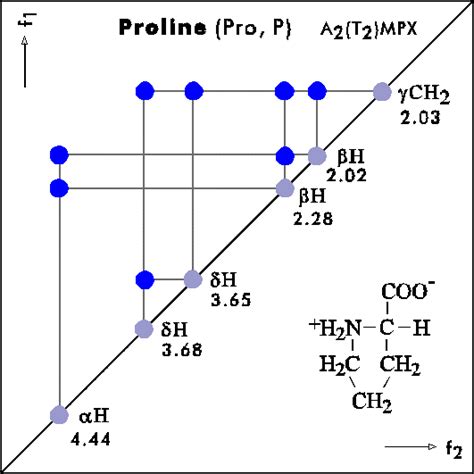 Cosy Pattern Of Amino Acids