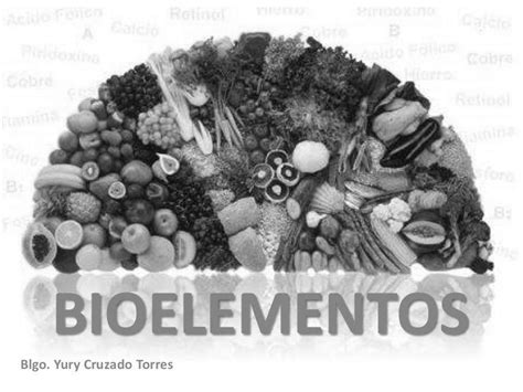 Ejemplo De Bioelementos Ejemplos De