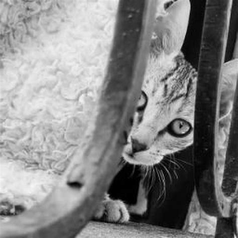 Javascript Made Easy Youtube