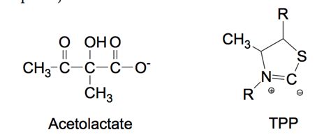 Acetolactate Structure Below Is A Precursor For The