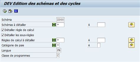 Payroll Schema Copy Sap Community