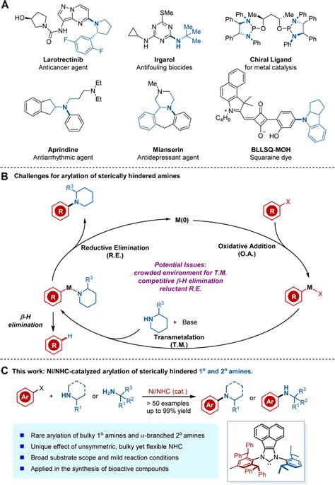 Unsymmetric N Heterocyclic Carbene Ligand Enabled Nickel Catalysed Arylation Of Bulky Primary