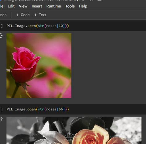 Flower Image Classification مستقل