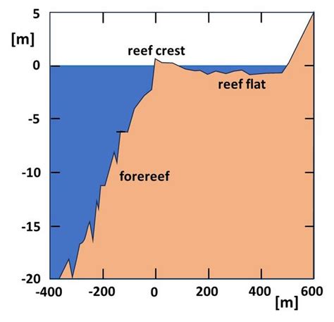 Coral Islands Coastal Wiki