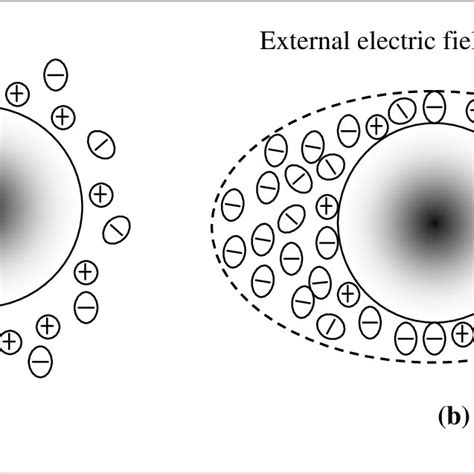 The Ion Charge Particle A In Uniform Charge Density B Ion Download Scientific Diagram