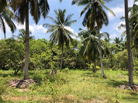 Anil Jayasinghe On Linkedin Natureland Naturelandproperty