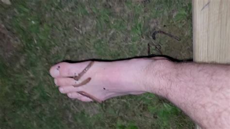 Feet Crush Bugs Barefoot Worm Play 1
