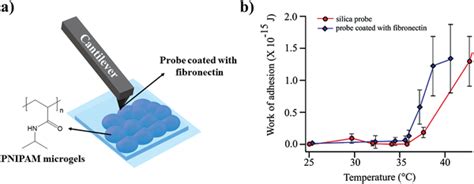 A Schematic Representation Of Colloidal Probe Afm Experiments In A Download Scientific Diagram