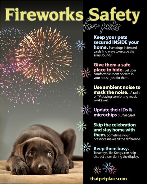 Dogs Fireworks And Safety On The 4th Of July Firework Safety Dogs And