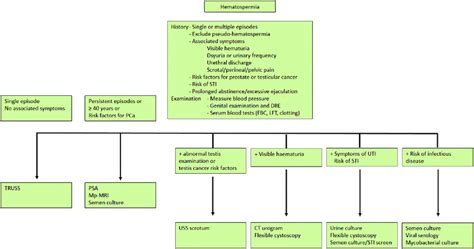 Algorithm For Investigation Of Patients With A Single Episode Or Algorithm For Investigation Of Patients With A Single Episode Or