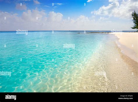 Cozumel Island Playa Palancar Beach In Riviera Maya Of Mayan Mexico