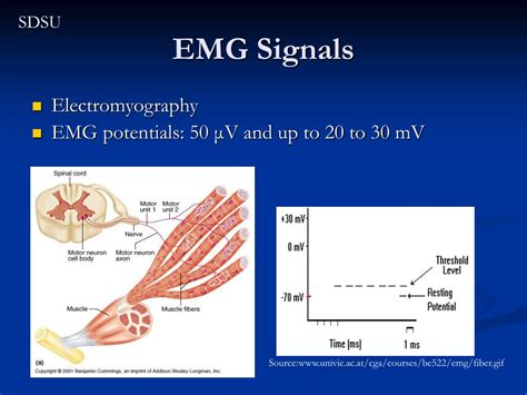 Ppt Real Time Control Of A Multi Fingered Robot Hand Using Emg Signals Powerpoint Presentation