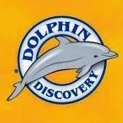 The Day I Swam With The Dolphins And Was Kissed By A Sea Lion Review