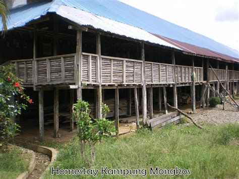 Konsep Terpopuler Rumah Panjang