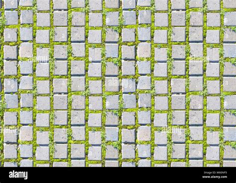 Seamless Grass Pattern