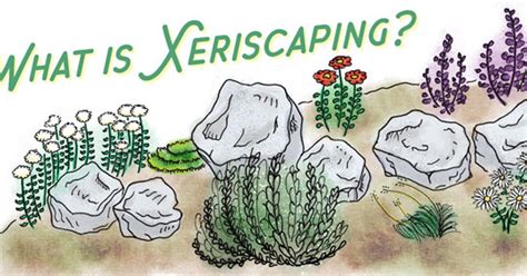 What Is Xeriscaping The Source Weekly Bend Oregon
