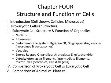 Chapter FOUR Structure And Function Of Cells I