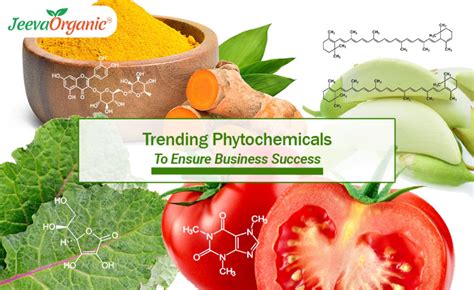 Sources Of Phytochemicals Archives