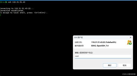 Linux环境搭建与历史 阿里云开发者社区