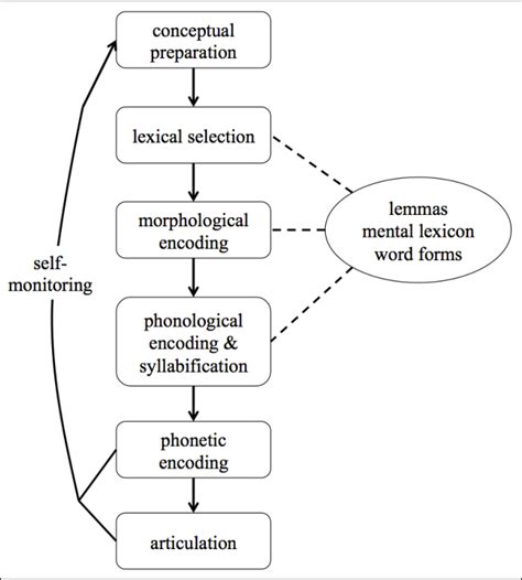 Model Of Utterance Planning Recreated From Levelt Roelofs And Meyer 1999 Download