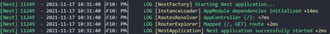 [nestjs] logger