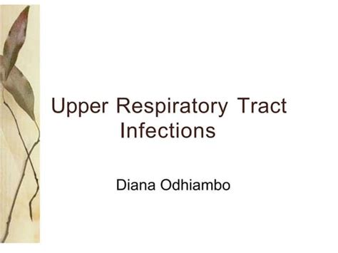Upper Respiratory Infection Uri Cheat Sheet Pdf