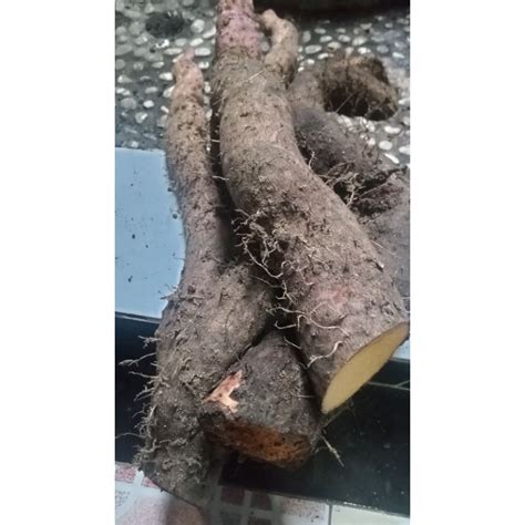 Jual Ubi Uwi Uwi Putih 500g Shopee Indonesia