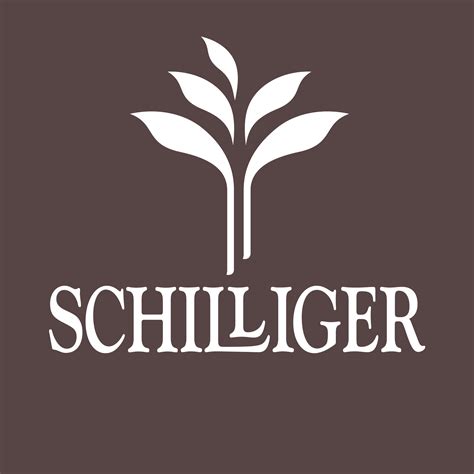 🚀 NoËl Dans Les Étoiles 🌌 3 2 1 Décollage Schilliger Vous Invite à Un Voyage Intergalactique