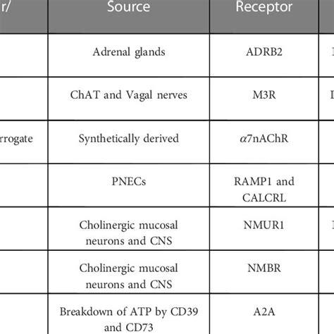 Biological Function Of Neurotransmitters And Neuropeptides In Mice
