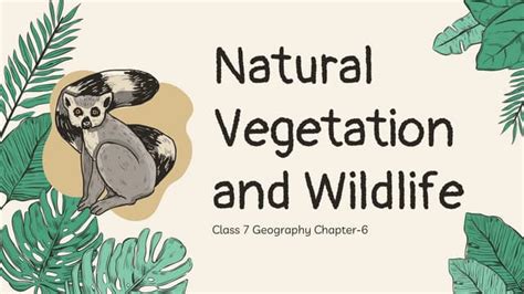 Cbse Geography Chapter 6 Slides Pptx
