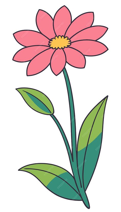 Premium Vector Lili Flower Vector Illustration Clip Art Design