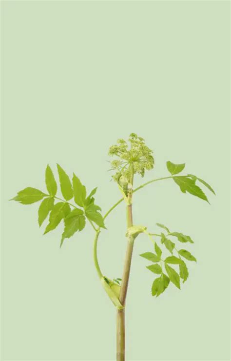 2024 Sony World Photography Awards Winners Revealed