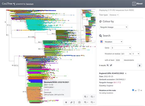 Taxonium A Web Based Tool For Exploring Large Phylogenetic Trees Elife