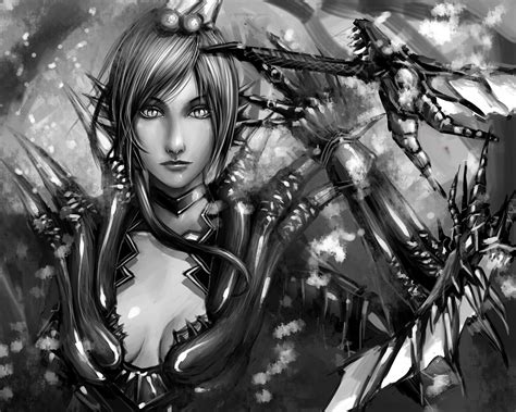 Pictures Dragon Age Armor Warriors Girls Vdeo Game 2400x1920