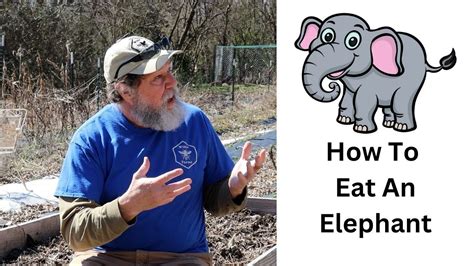 How To Eat An Elephant Youtube