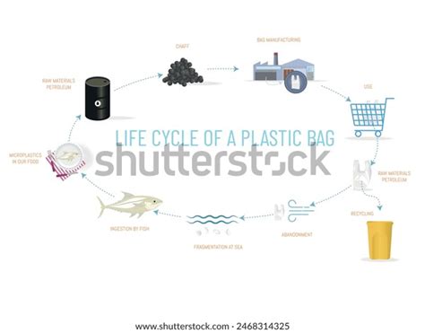 Life Cycle Plastic Bag Process Plastic Stock Vector Royalty Free 2468314325 Shutterstock