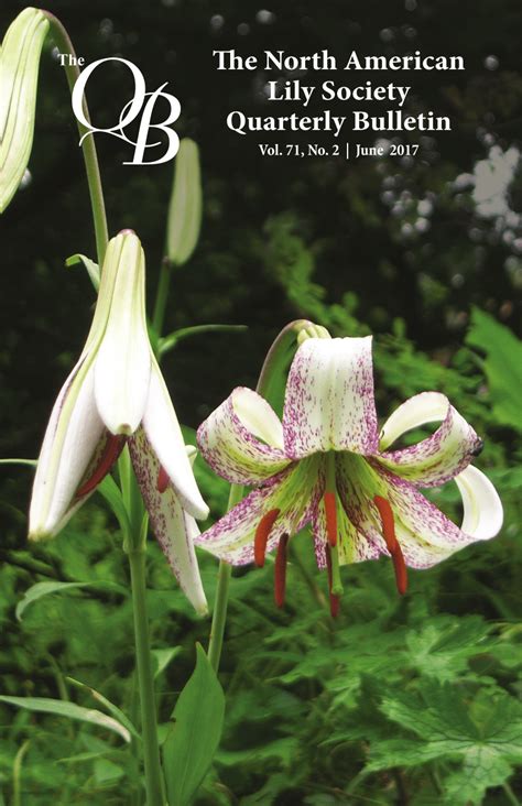 Pdf Lilium Polyphyllum A Rare Endangered Himalayan Lily