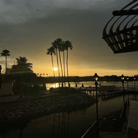 Paula Bucciol Youtube